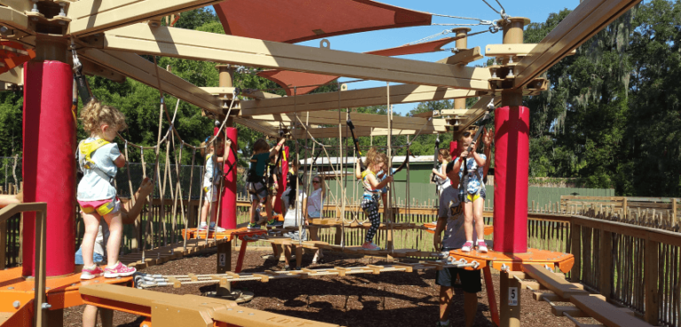 Low Ropes Course for kids