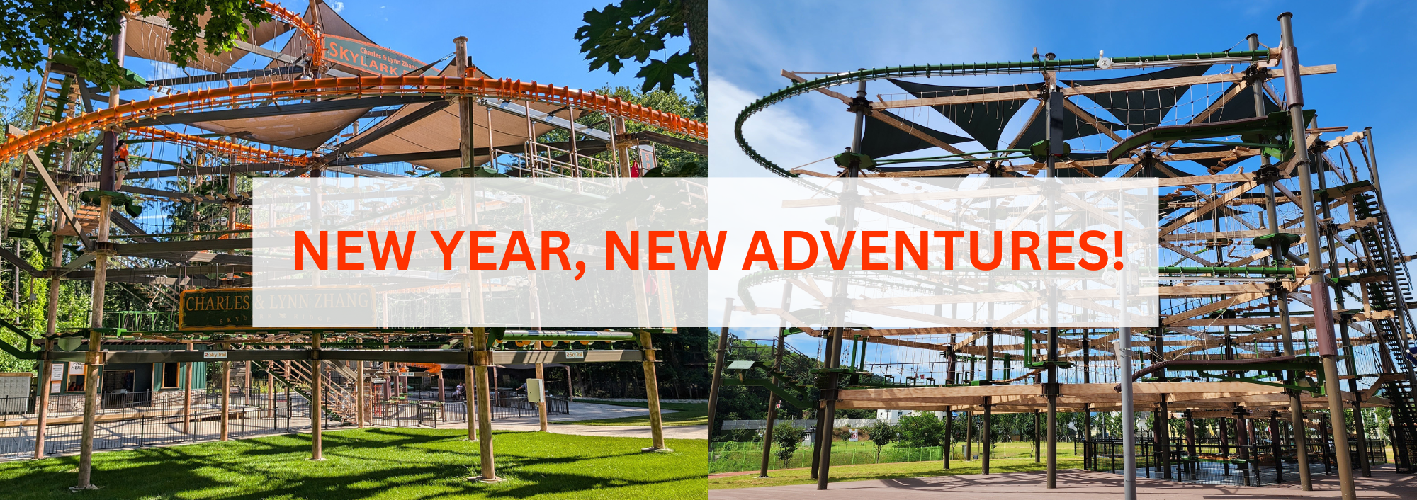 New Year, New Adventures: Setting Up Your Attraction for Success in ...